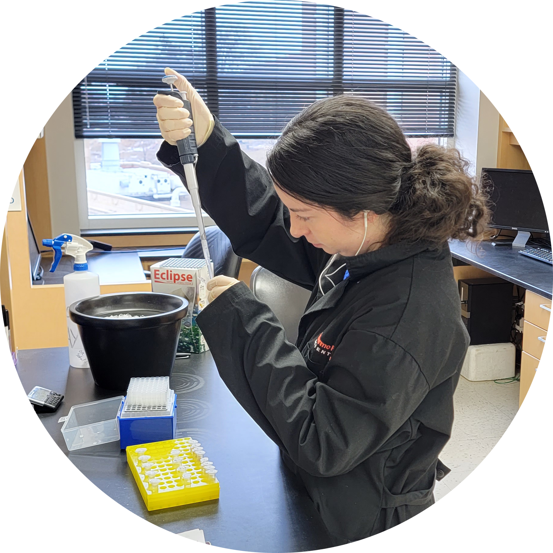 Meyer Lab – Investigating genomic mechanisms of transcription ...